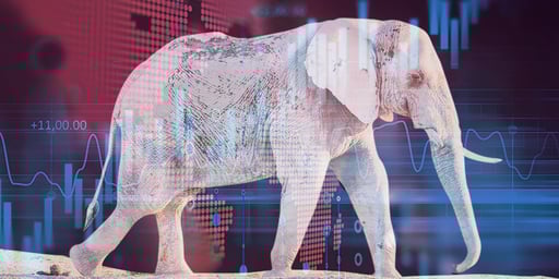 The How-to-Eat-an-Elephant Approach to Building an Agile Culture